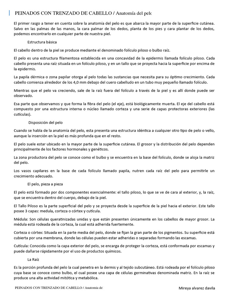 Anatomía Del Pelo | PDF | Pelo | Piel
