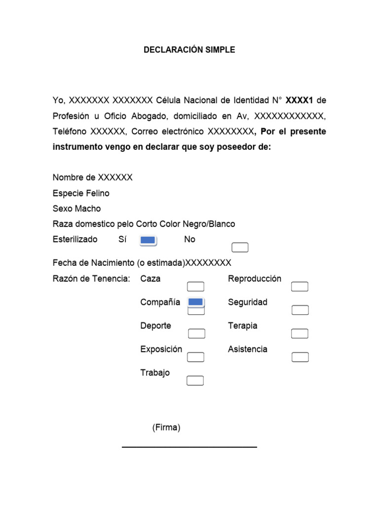 Declaracion Simple Poseedor | PDF