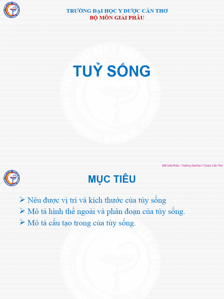 1 Tuy Song GH | PDF