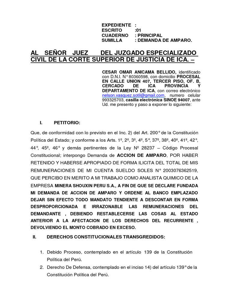 DEMANDA COMPLETA | Descargar gratis PDF | Debido al proceso | Ley procesal