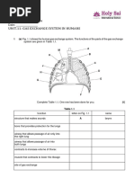 Life Sciences Gr.11 Lesson 35 Gaseous Exchange (Human Gas Exchange ...