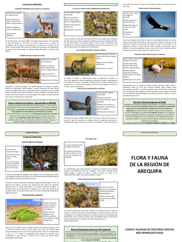 Flora y Fauna de Arequipa - A3 | PDF