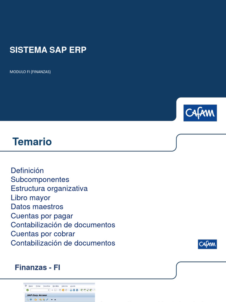 T04 Sap | PDF | Bancos | Factura