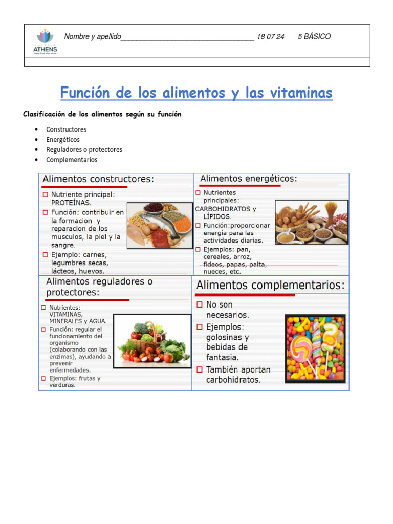 Clasificación de Alimentos por Función | PDF | Alimentos | Vitamina