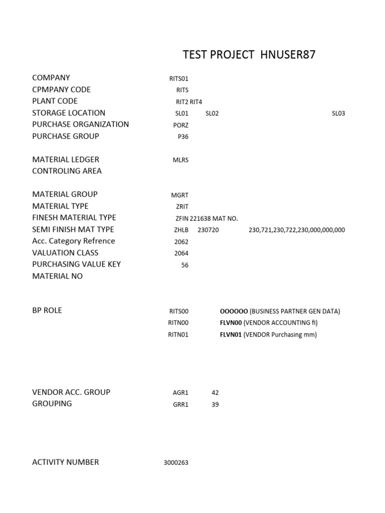 Test Project Pdf