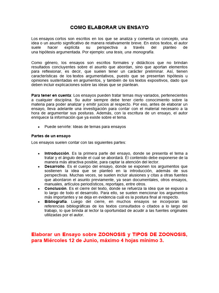 COMO ELABORAR UN ENSAYO | Descargar gratis PDF | Ensayos