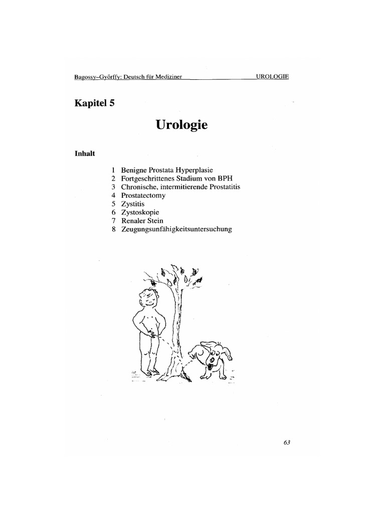 Uro Györffi | PDF