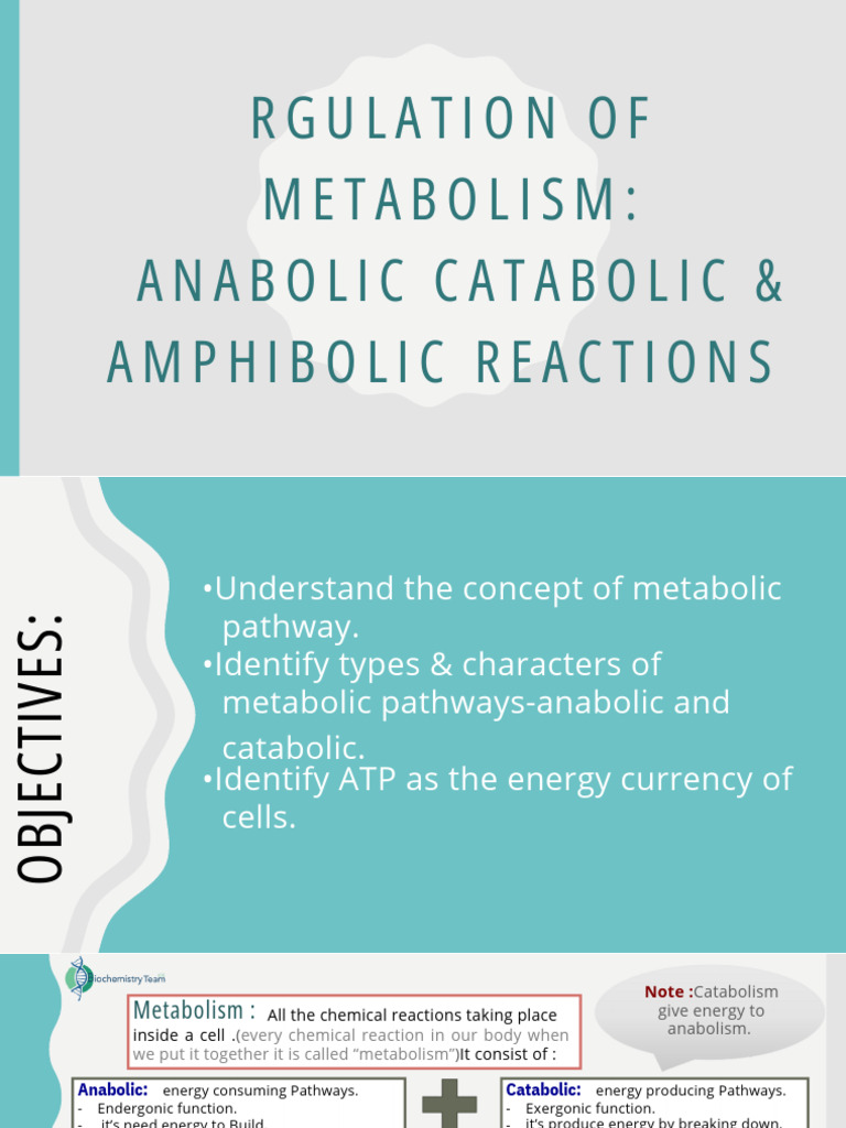 Regulation of Metabolism - Anabolism and Catabolism & Amphibolic ...