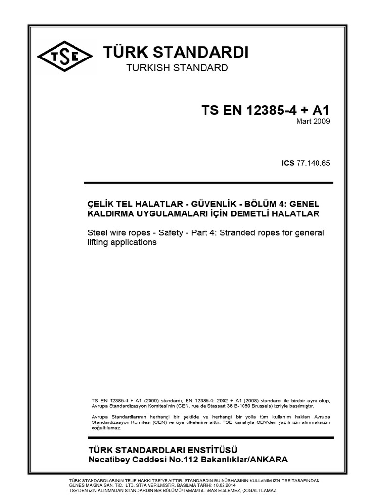 Türk Standardi: TS EN 12385-4 + A1 | PDF