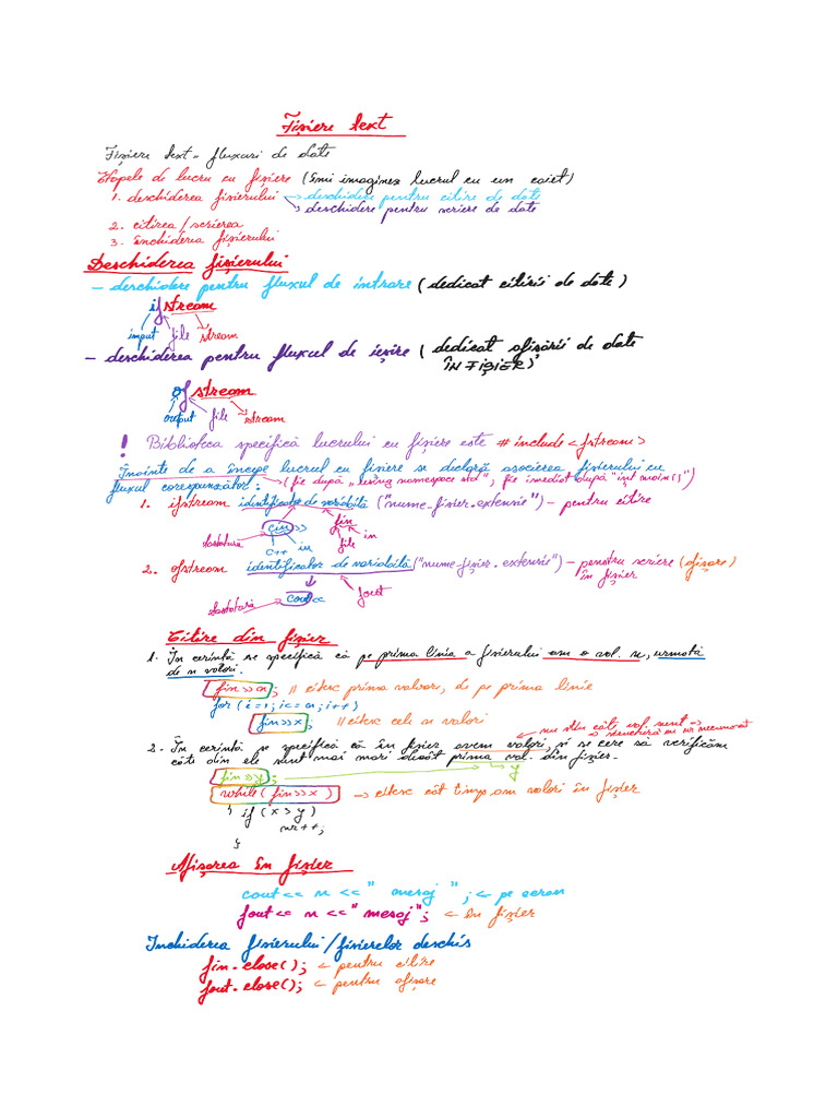 Fisiere | PDF