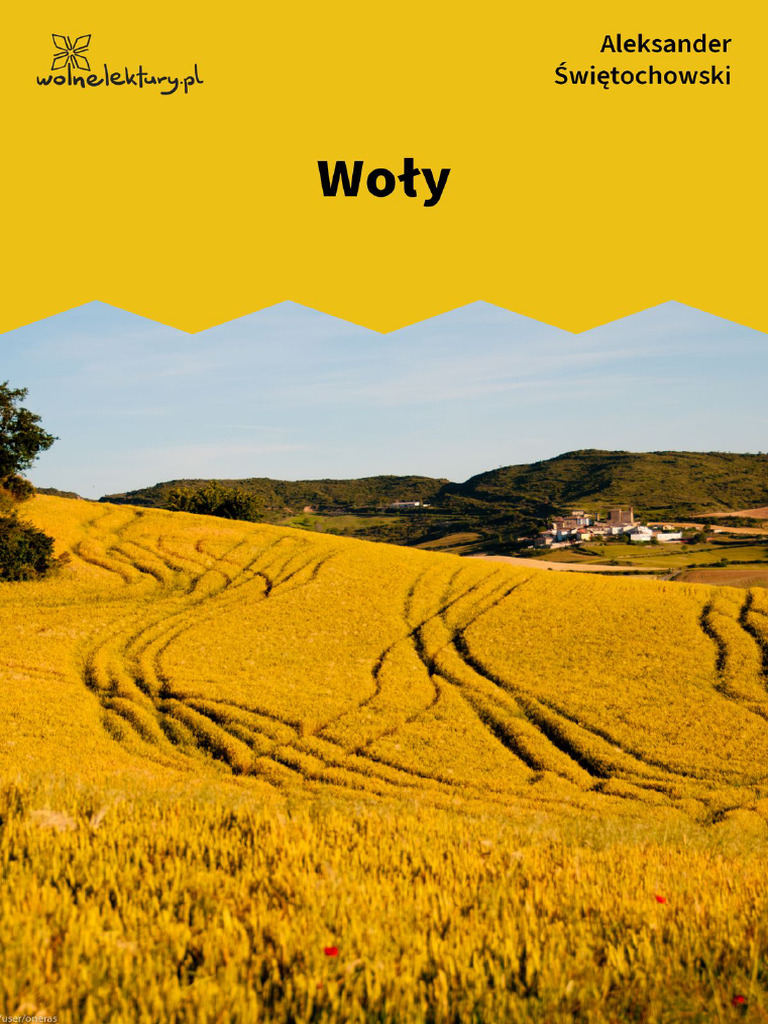 Woly | PDF