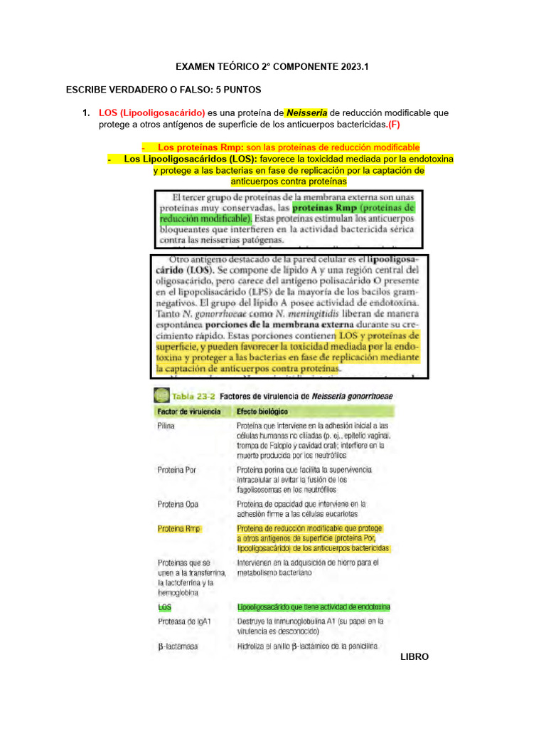 Segundo Teorico Micro 2023-01. Completoooooo | PDF | Escherichia coli | Las bacterias