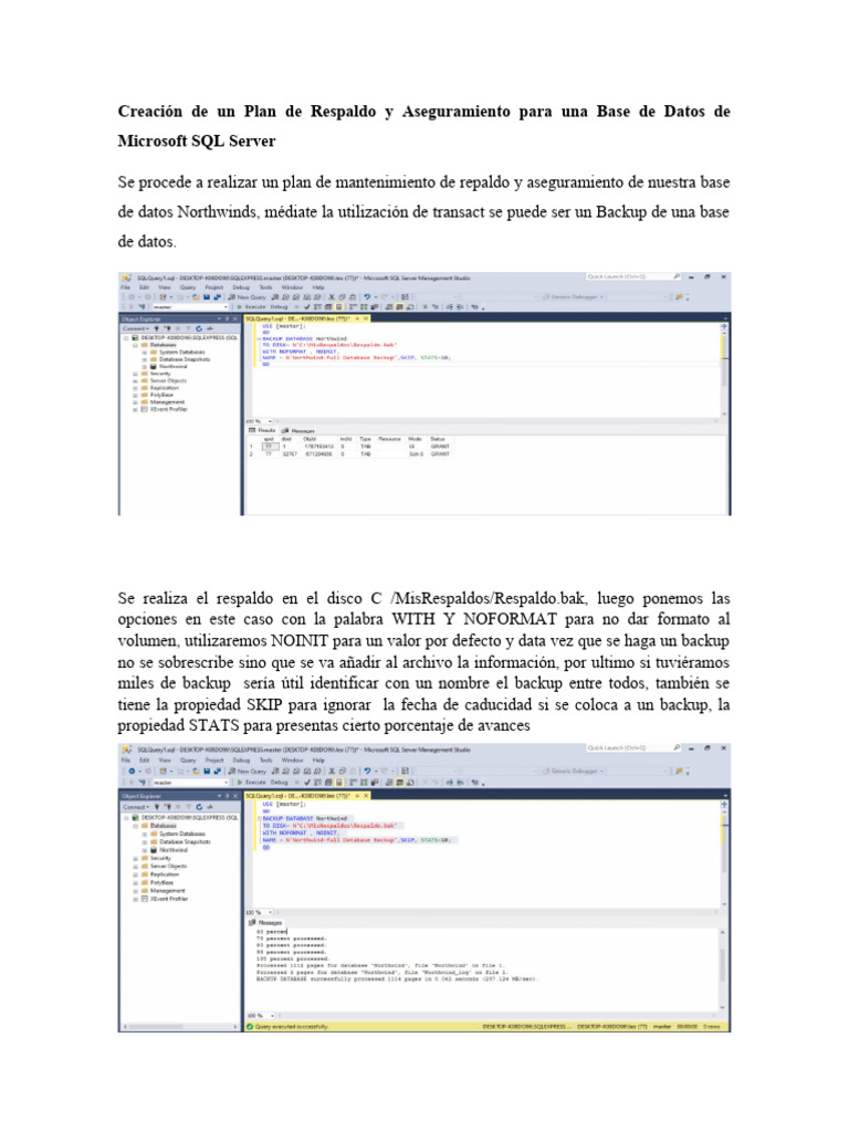 Creación de Un Plan de Respaldo y Aseguramiento para Una Base de Datos de Microsoft SQL Server ...