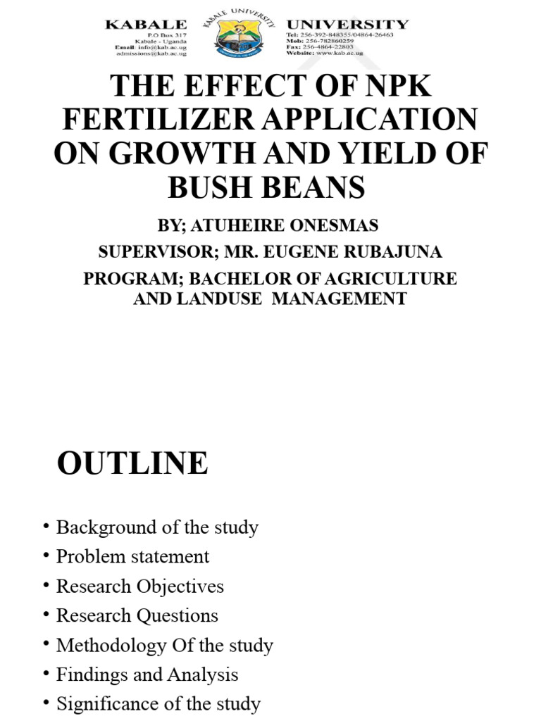 Atuheire Onesmas Reseach Presentation-2 | PDF | Bean | Fertilizer