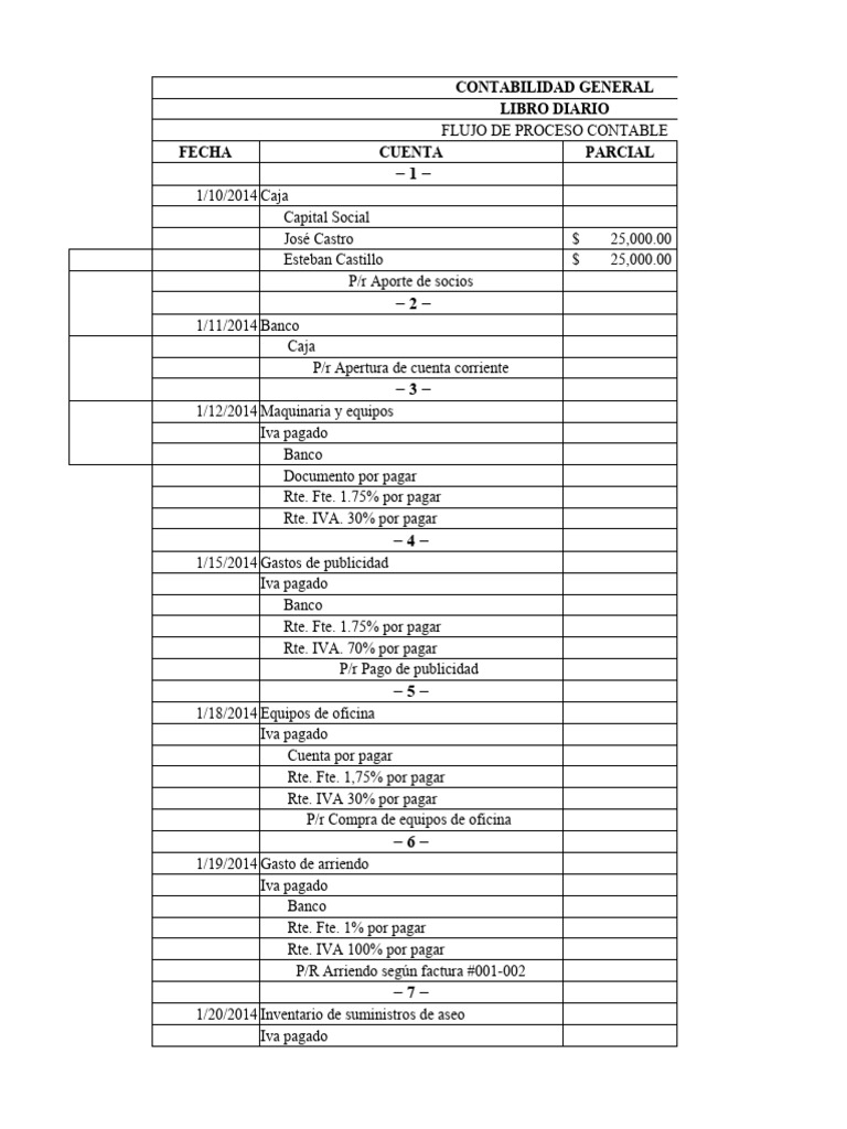 Proceso Contable y Libro Diario | PDF | Contabilidad | Economía Financiera