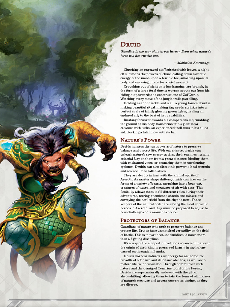 3.0 Rework - Druid | PDF