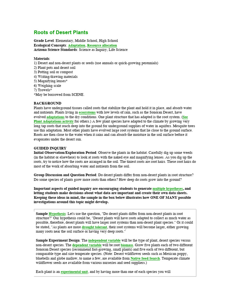 Roots_of_Desert_Plants Sonoran Desert | PDF | Desert | Root