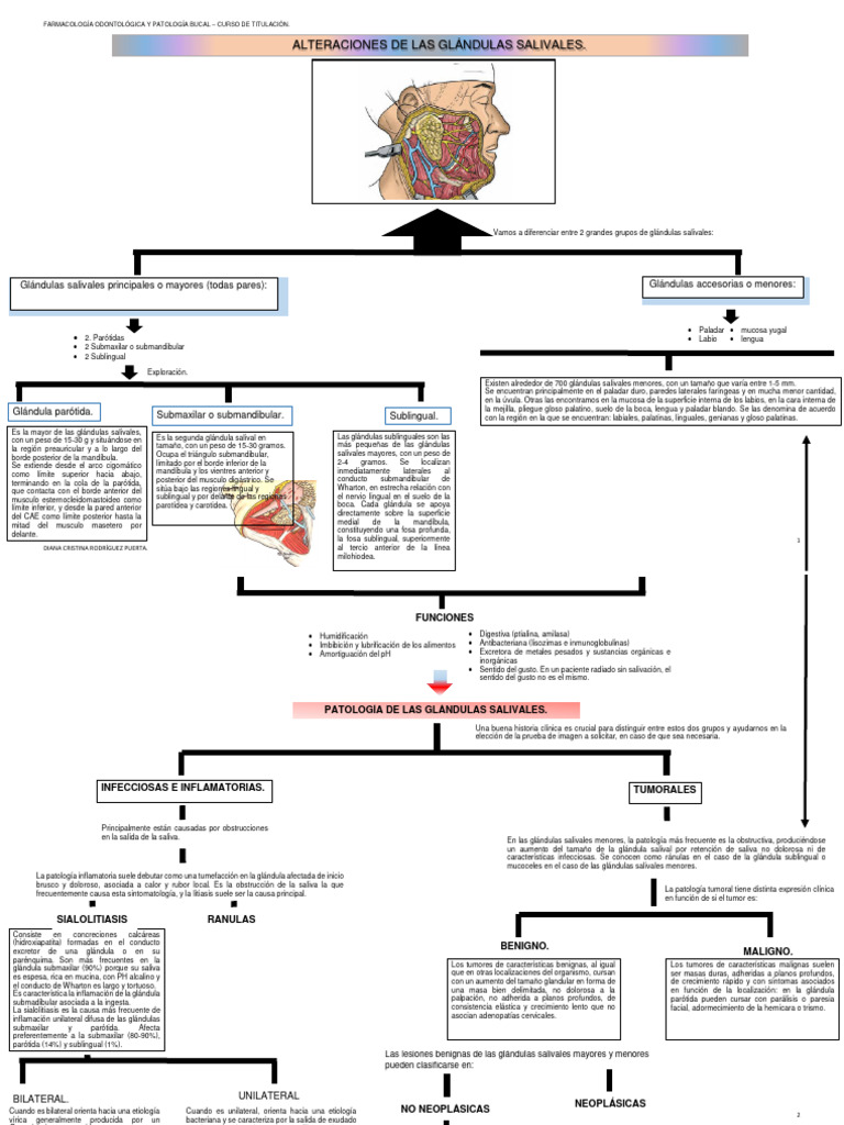 Mapa Conceptual 1. | PDF | Saliva | Neoplasias