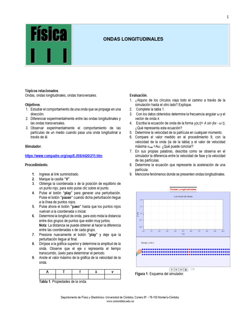 Estudio de Ondas Longitudinales en Física | PDF | Olas | Velocidad