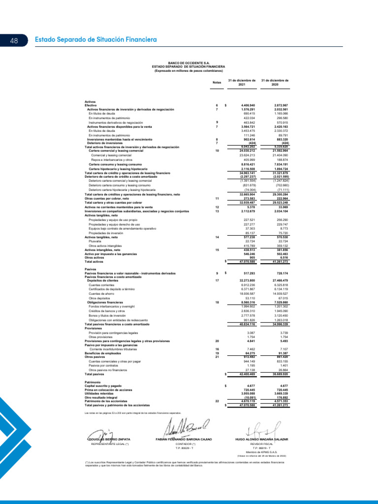 balance-separados-2022-52 | PDF | Activo intangible | Contabilidad