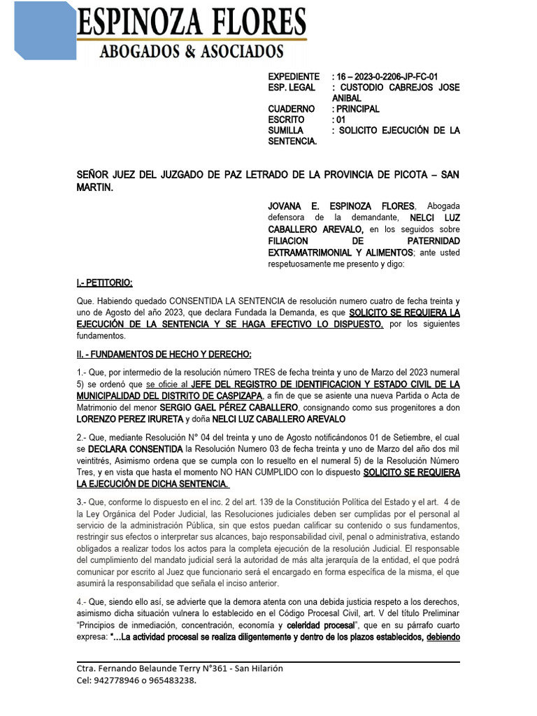 Solicito Ejecución de La Sentencia. | PDF | Ley procesal | Sentencia (ley)