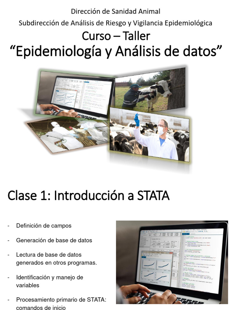 1 Clase SARVE | PDF | Archivo de computadora | Estadísticas descriptivas