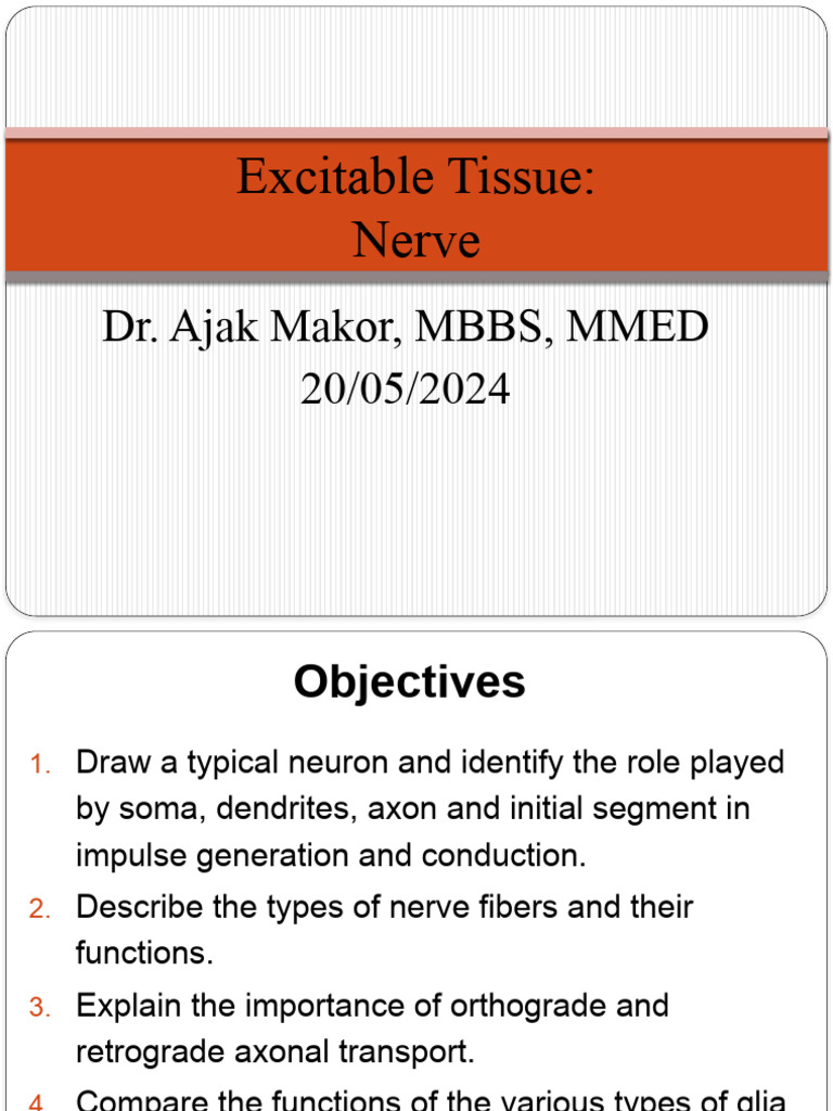 Nerve Physiology | PDF | Axon | Neuron