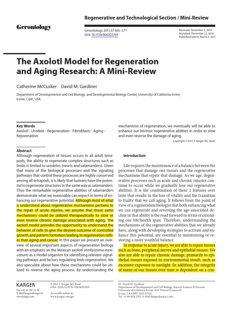 The Axolotl Model For Regeneration | PDF | Regeneration (Biology ...