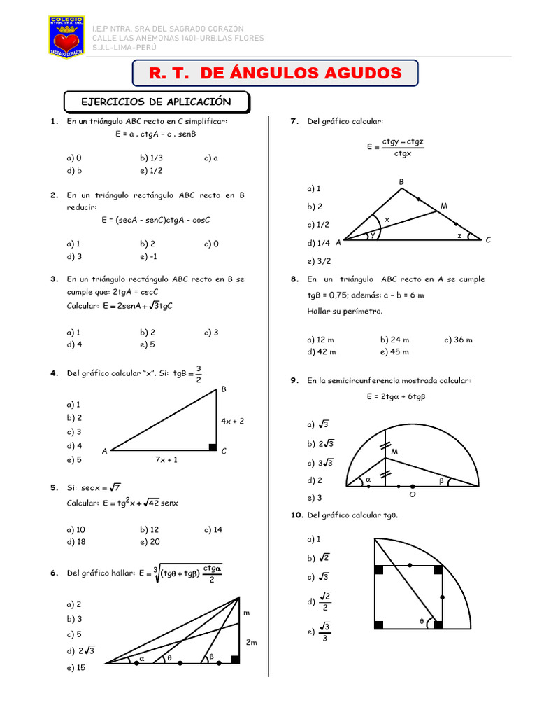 TEMA 1_R.T DE ÁNGULOS AGUDOS | PDF | Geometría Elemental | Geometría triangular