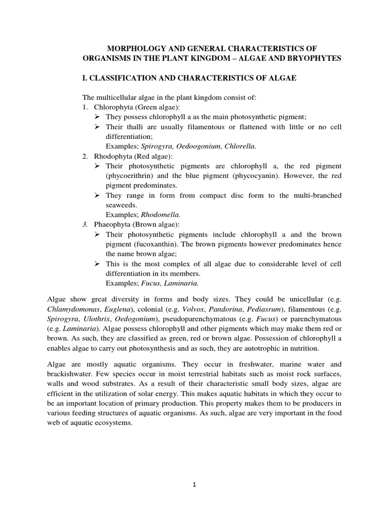 BIO 102 Algae | PDF | Algae | Eukaryotes