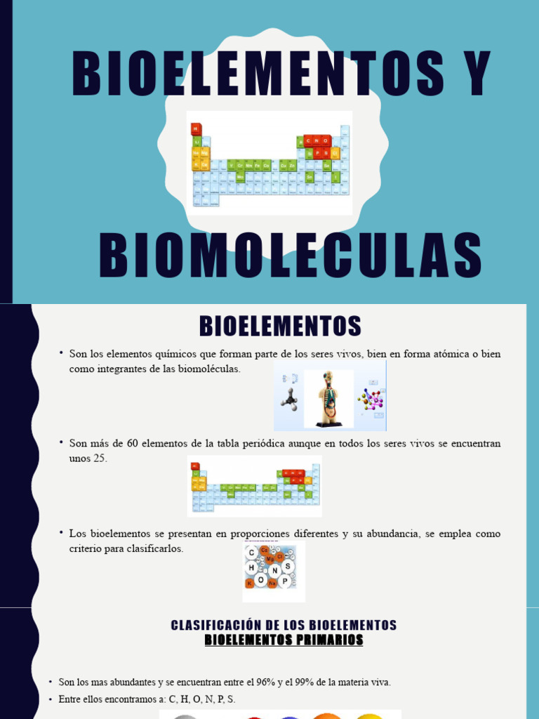 Bioelementos y Biomoléculas en Seres Vivos | PDF | Elementos químicos ...