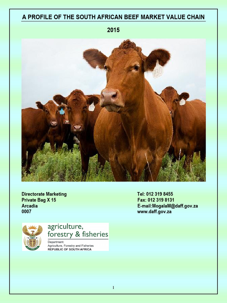 Beef Market Value Chain Profile 2015 | PDF | Cattle | Africa