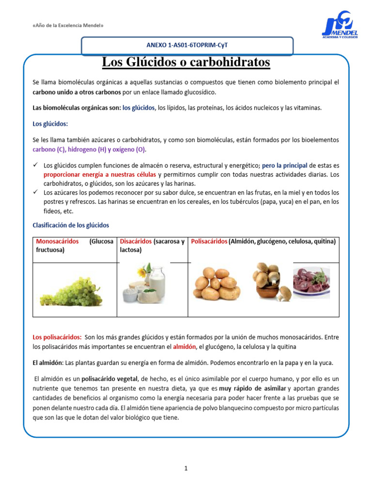 ANEXO - PRIM 6 - PF04 - AS02 - CyT 2024 (1) - 216224657882 | PDF ...