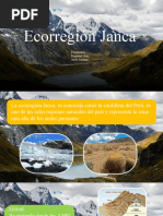 Resumen de La Región Janca | PDF