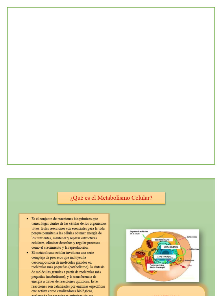 METABOLISMO CELULAR | PDF