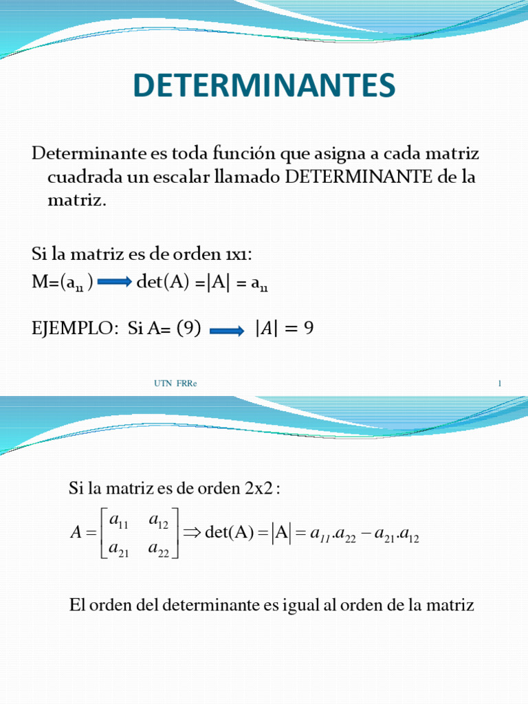 Determinantes de Matrices Cuadradas | PDF | Determinante | Matriz ...