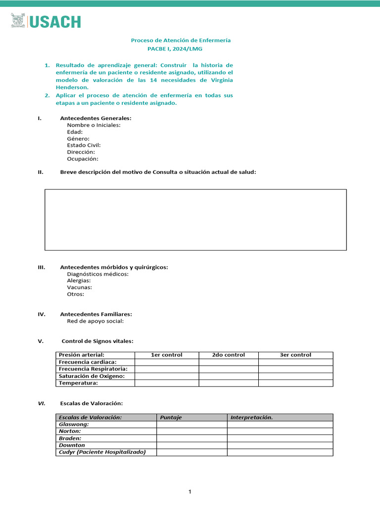 FORMATO PARA DESARROLLAR PAE ESCRITO 2024 LMG | PDF | Verbo | Examen físico