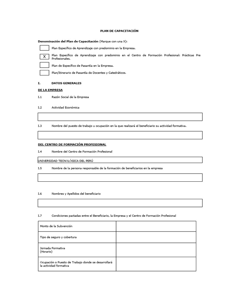 Plan De Capacitación Pdf Desarrollo Profesional Business