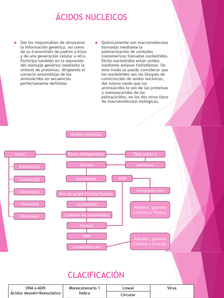 Trabajo de Quimicas - Madali | PDF | Rna | Adn Trabajo de Quimicas - Madali | PDF | Rna | Adn