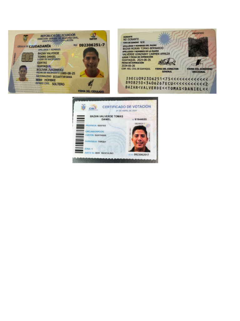 Cedula TBV 2024 | PDF