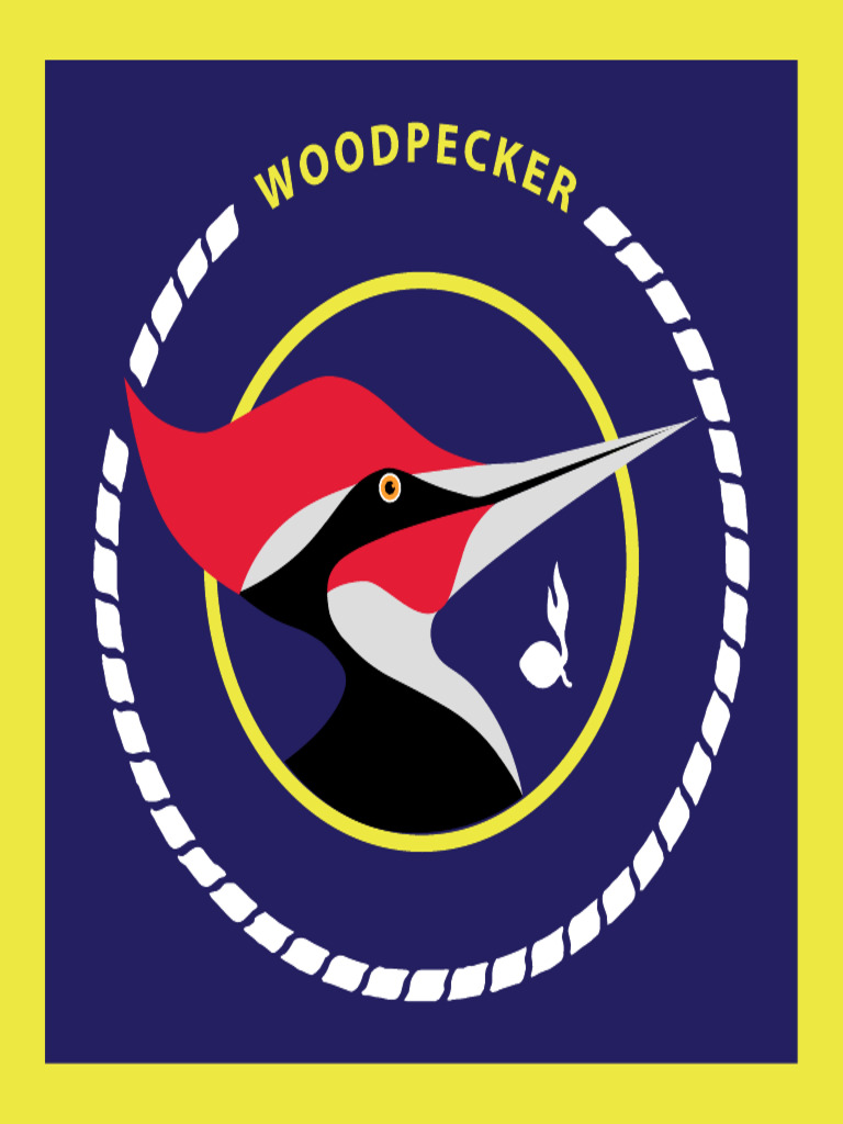 Badge Regu - Woodpecker | PDF