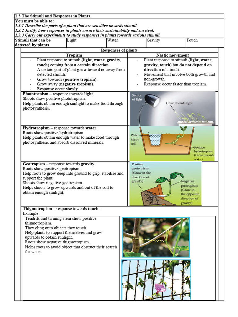 1.3 The Stimuli and Responses in Plants | PDF | Root | Plants