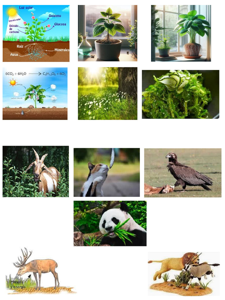 Imagenes Infografia | PDF