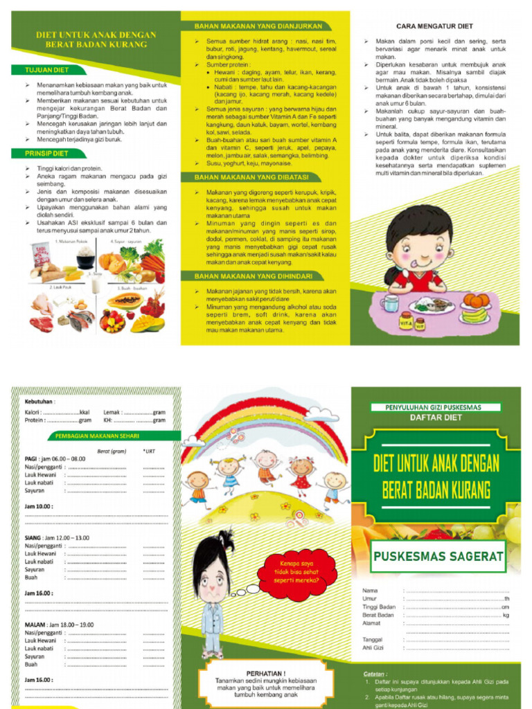 Liflet TKTP Anak A4 | PDF