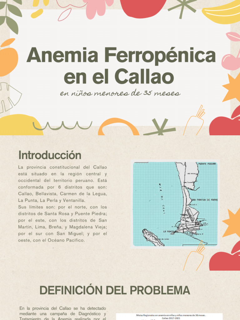 Proyecto Anemia Ferropénica en La Provincia de Puerto Nuevo - Callao | PDF