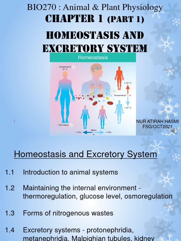 Chapter 1 (Part 1) - Homeostasis and excretory system | Download Free ...