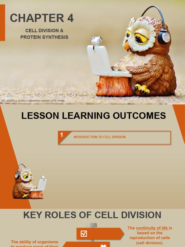 Chapter 4 Introduction To Cell Division | PDF | Meiosis | Mitosis