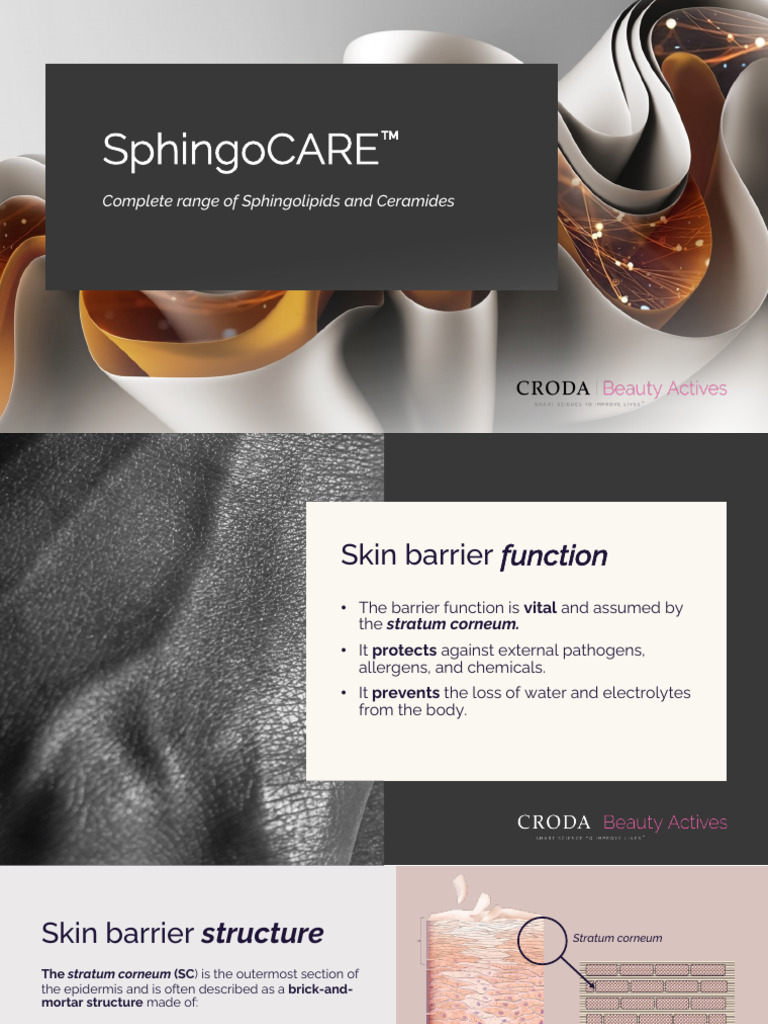 Sederma MP Sphingocare en | PDF | Integumentary System | Skin