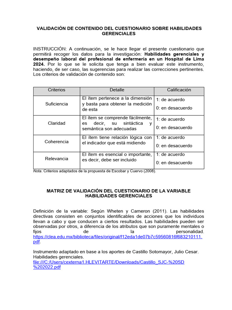 Formato - Validación de Cuestionario | PDF