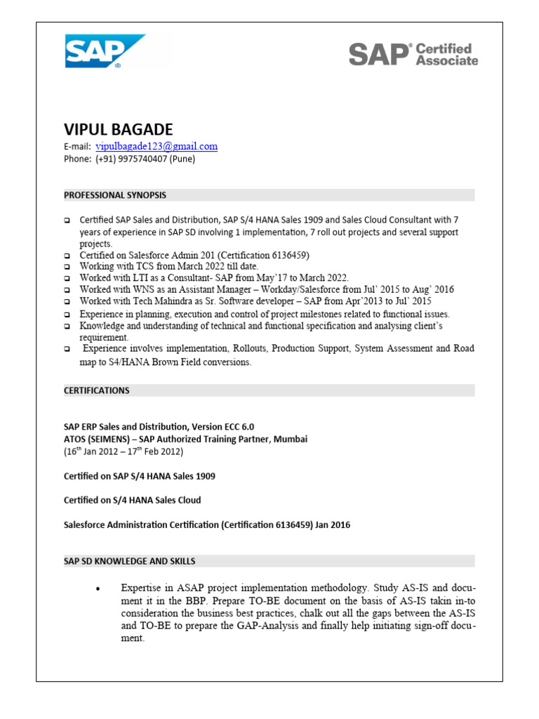 Vipul Bagade Sap CV | PDF | Business